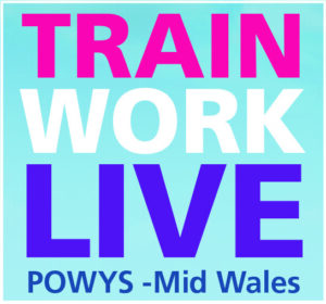 POWYS TEACHING HEALTH BOARD » Civvy Street Magazine